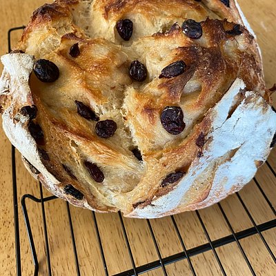 Bakesy: The All-in-One Home Bakery App